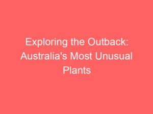 Exploring the Outback: Australia's Most Unusual Plants - yardverdant.com